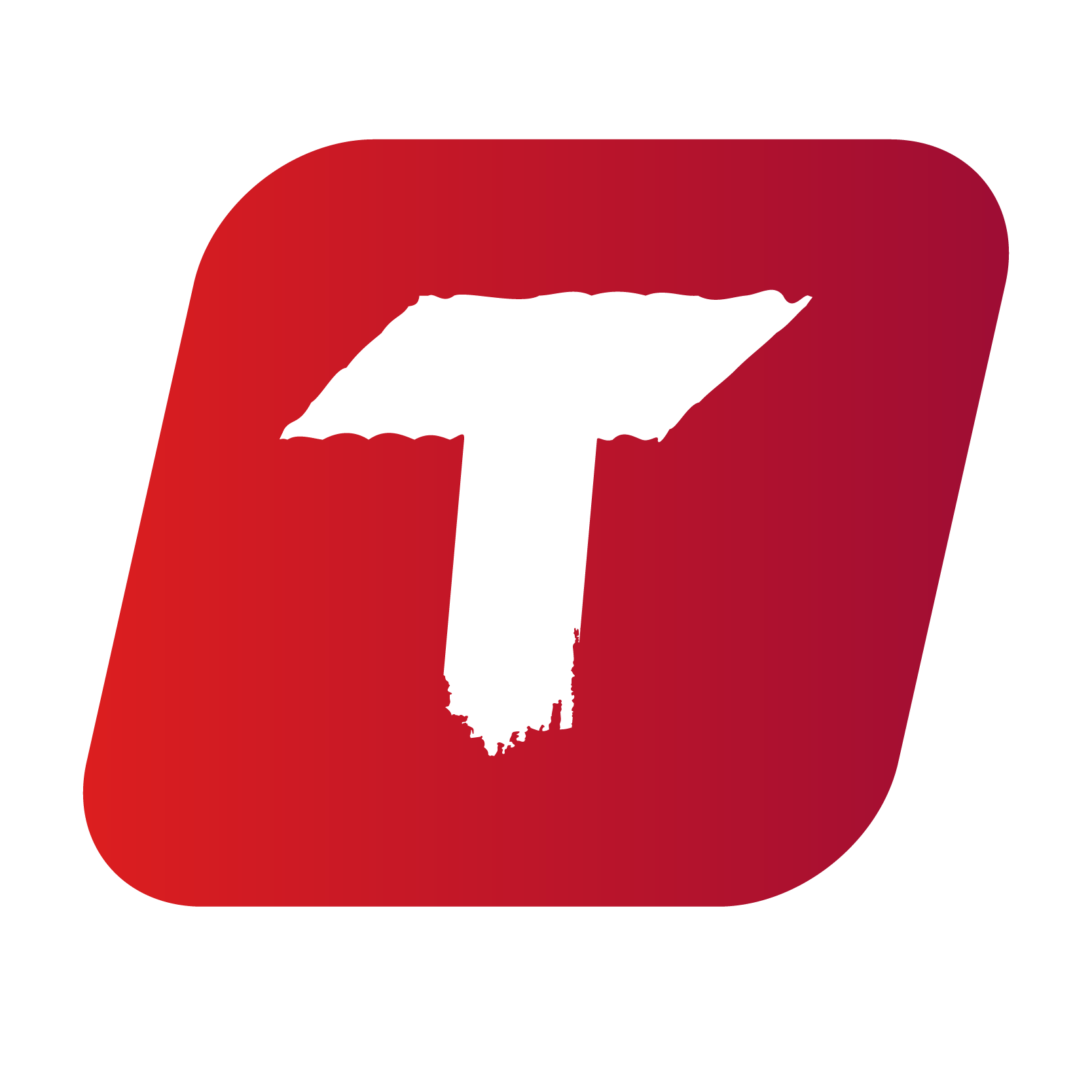 Nanomagnesio – Torvic Workout